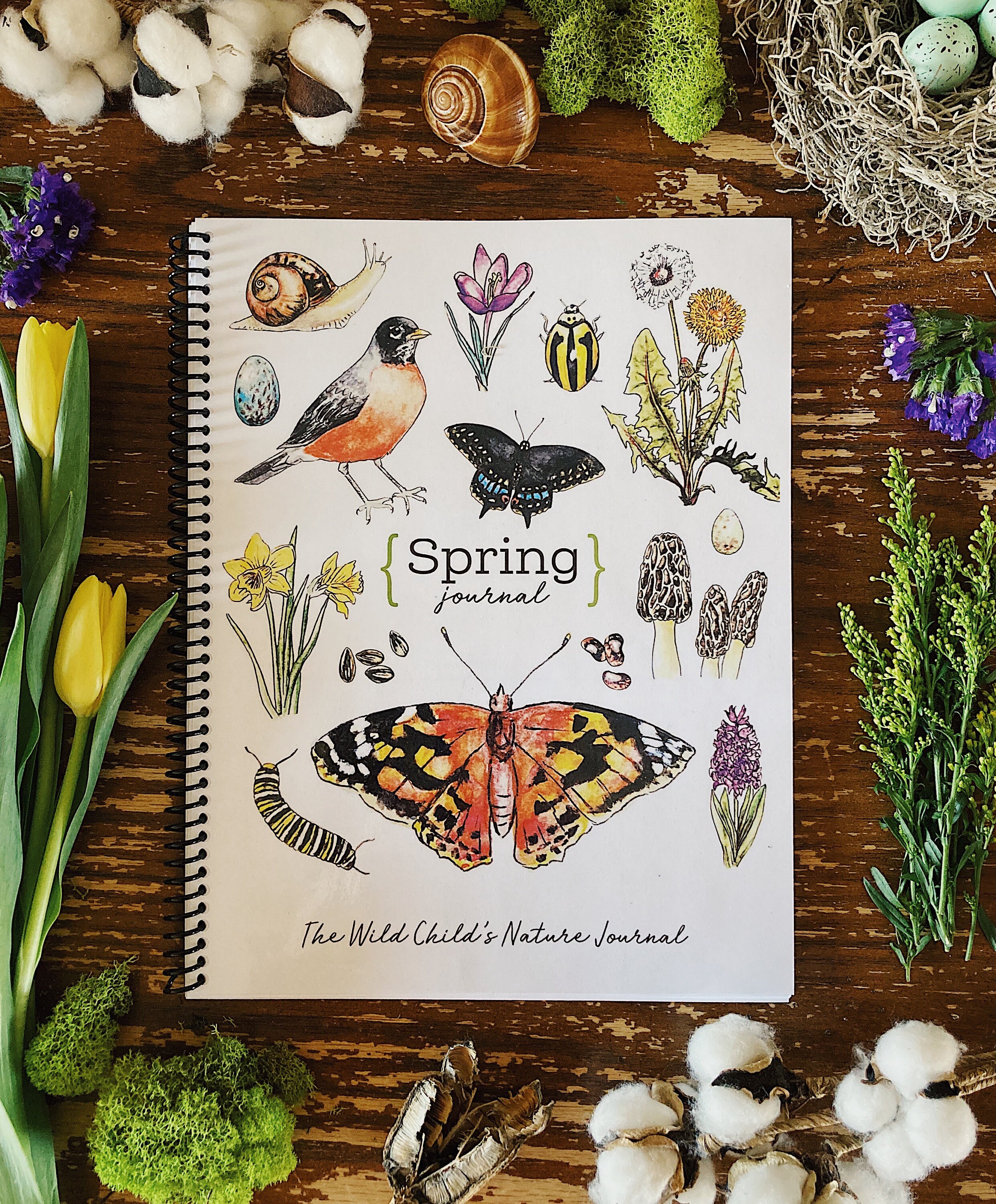 Spring Learning Bundle - Unit Study, Nature Study, Charlotte Mason - Etsy