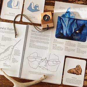 The Arctic Journal - Polar Unit Study, Arctic Animals, Nature Study ...