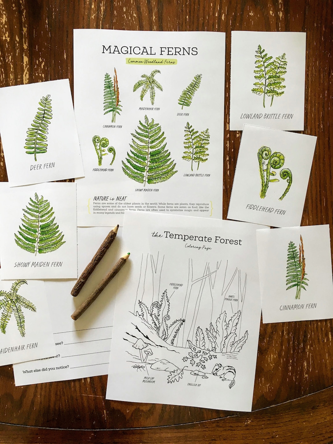 Forest Ferns Nature Journaling Pack - Homeschool Printable Nature Study ...