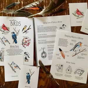 WINTER Journal Homeschool Printable Charlotte Mason Nature Study - Etsy