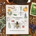 Spring Learning Bundle - Unit Study, Nature Study, Charlotte Mason - Etsy
