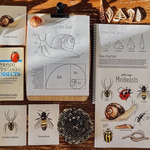 SPRING Journal Homeschool Printable Nature Study Charlotte Mason - Etsy ...