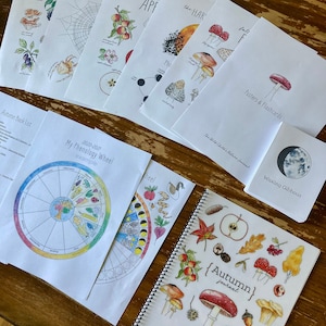 Nature Journal BUNDLE - Etsy