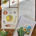 UPDATED SPRING Journal - Homeschool Printable Nature Study Charlotte ...