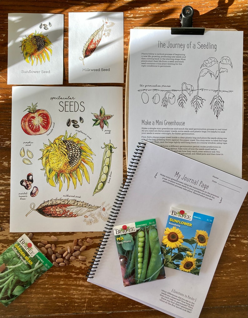 UPDATED SPRING Journal - Homeschool Printable Nature Study Charlotte ...