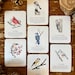 UPDATED: Birds of Winter Mini Nature Study Pack - Charlotte Mason ...