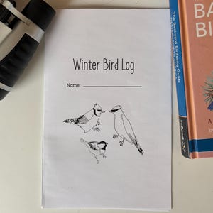 UPDATED: Birds of Winter Mini Nature Study Pack - Charlotte Mason ...