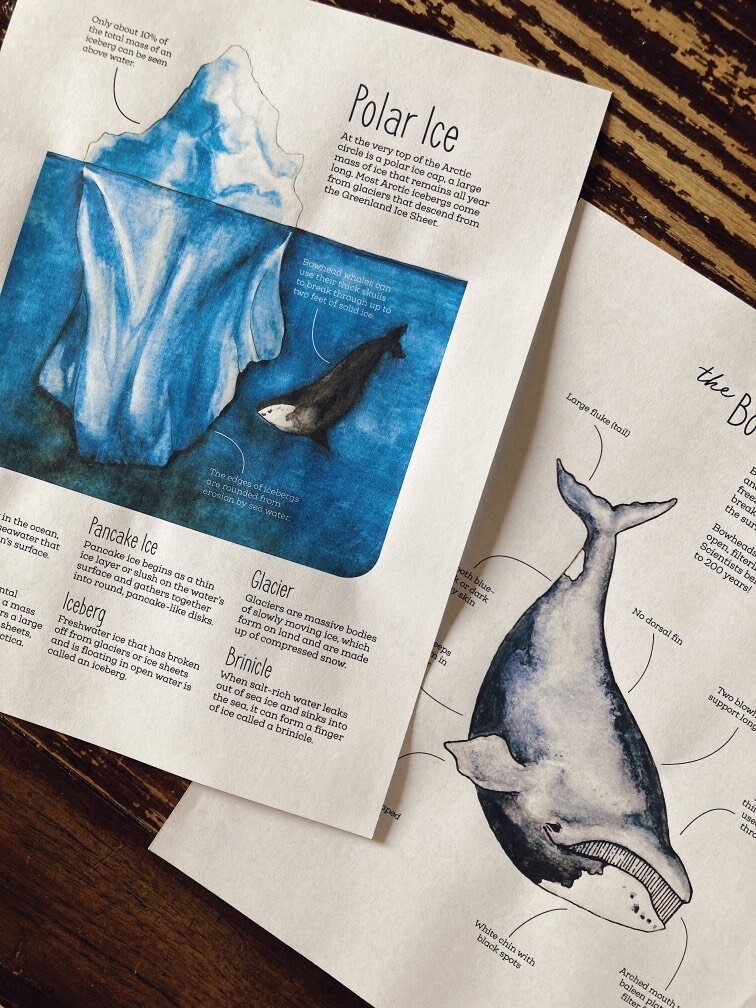 The Arctic Journal - Polar Unit Study, Arctic Animals, Nature Study ...
