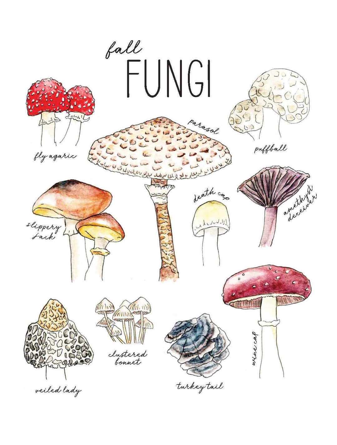 Fall Fungi Nature Journaling Mini Pack - Charlotte Mason, Homeschool ...
