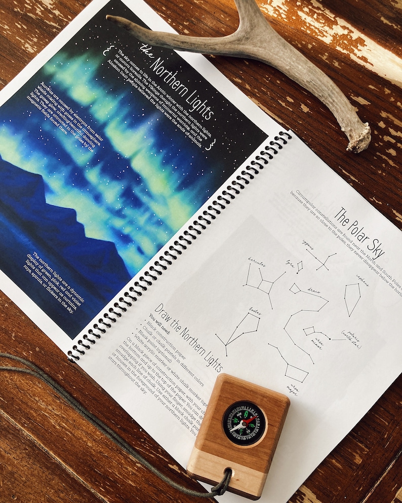 The Arctic Journal - Polar Unit Study, Arctic Animals, Nature Study ...