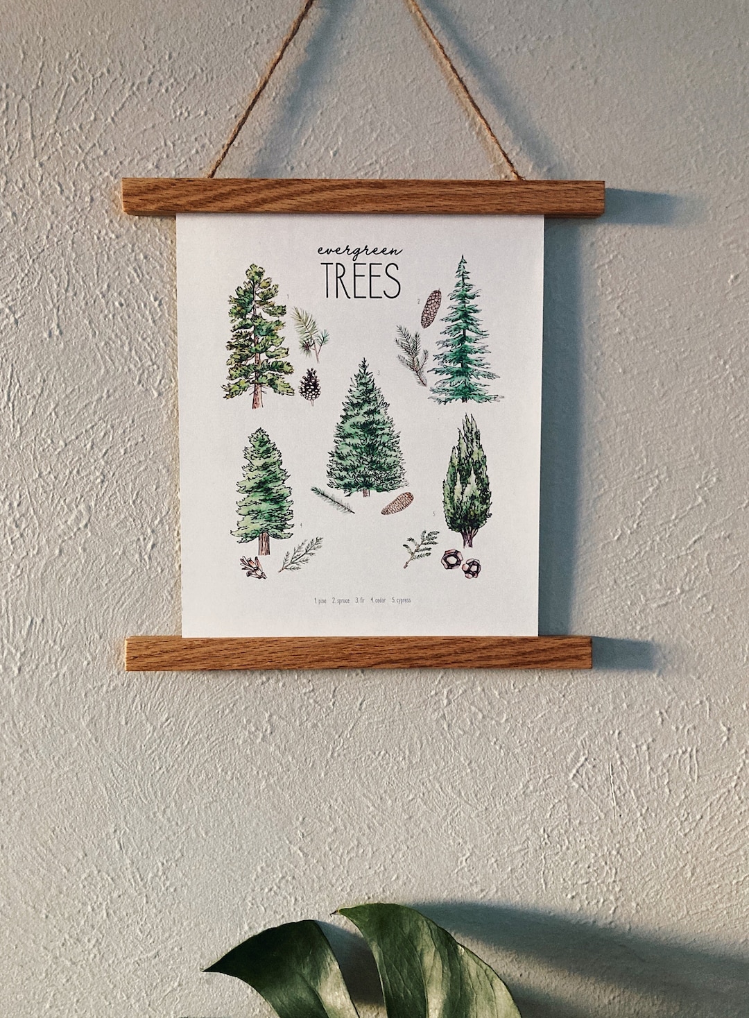 Evergreen Trees Art Print/poster (digital) - Etsy
