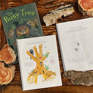 Tree Nature Study BUNDLE - Charlotte Mason, Unit Study - Etsy