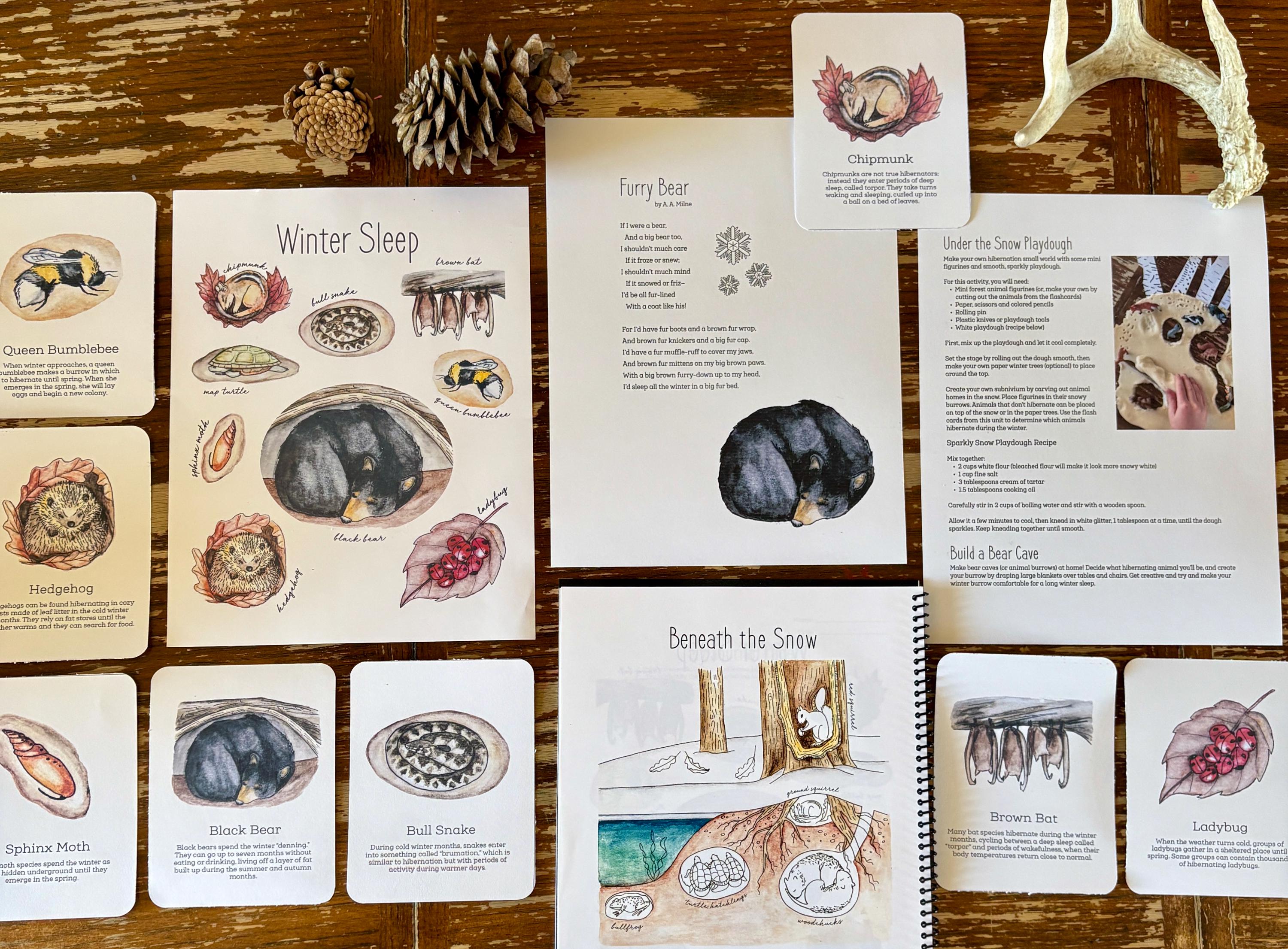 Hibernation Mini Pack - Homeschool Printable Nature Study Charlotte ...