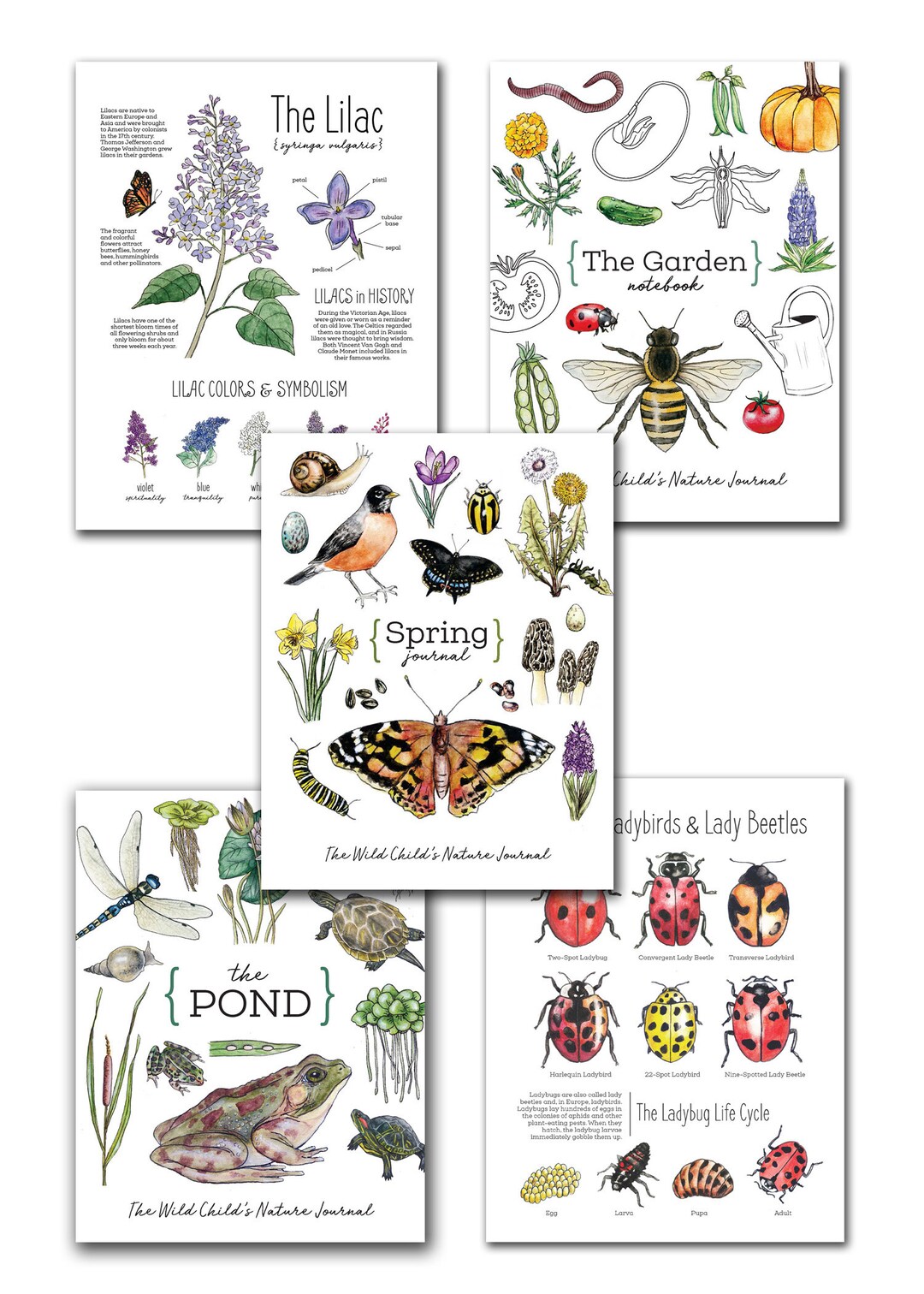 Spring Learning Bundle - Unit Study, Nature Study, Charlotte Mason - Etsy