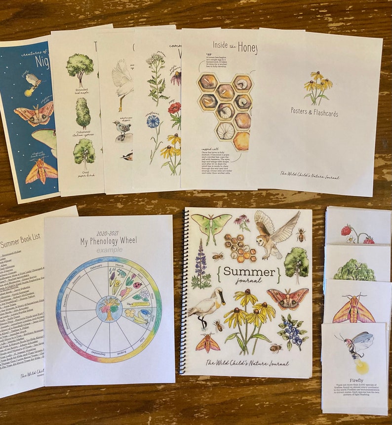 The Seasons A Year of Nature Journaling Charlotte Mason - Etsy