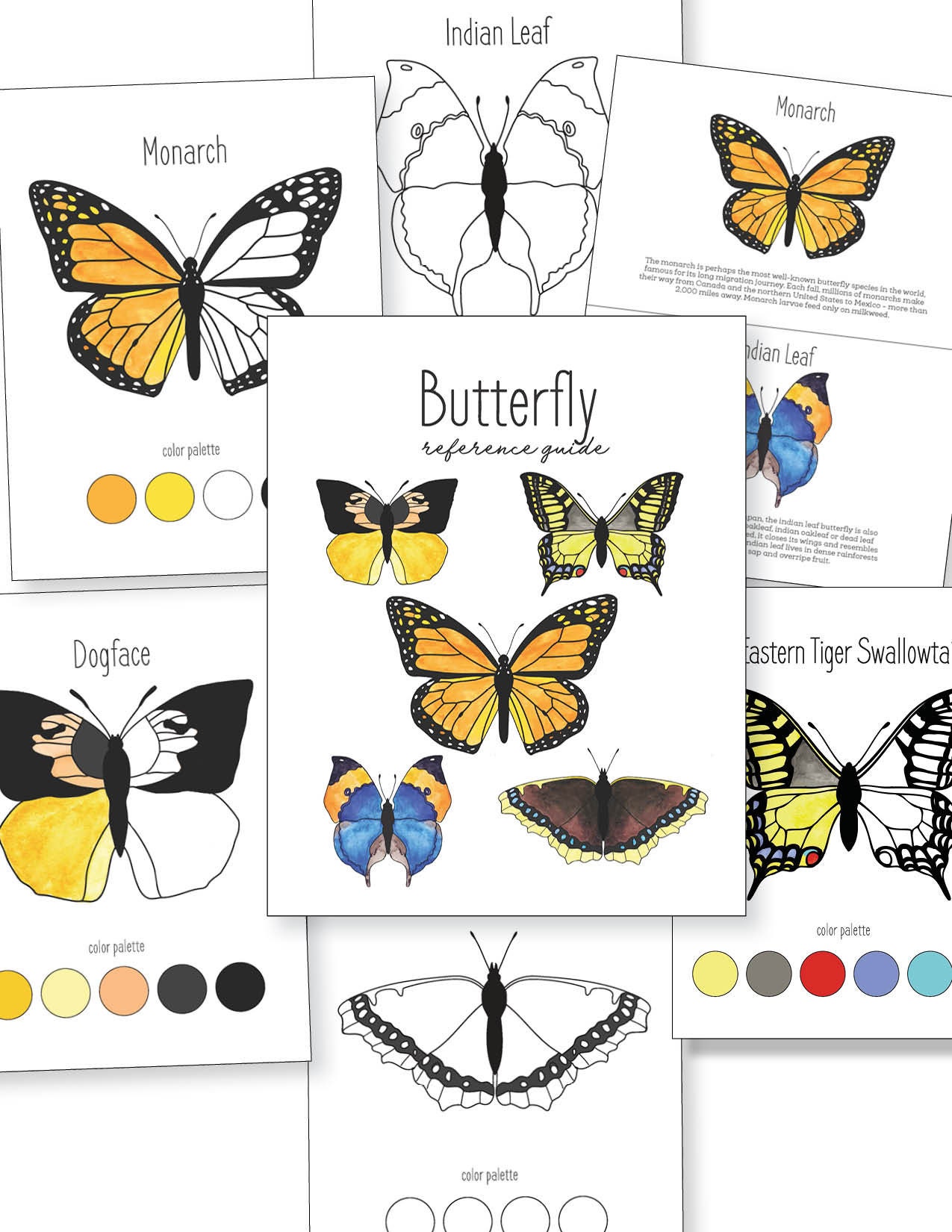 Butterfly Symmetry Art Coloring and Activity Pack - Etsy