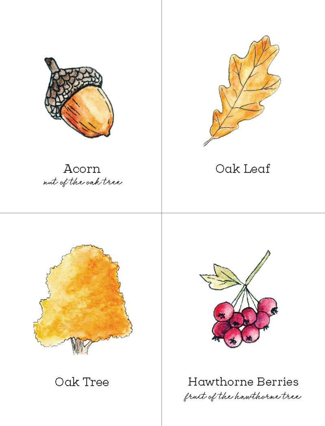 Autumn Trees Nature Journaling Mini Pack Charlotte Mason - Etsy