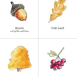 Autumn Trees Nature Journaling Mini Pack - Charlotte Mason, Homeschool ...