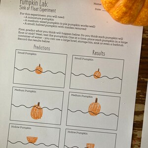 NEW! Pumpkin Nature Study - Etsy