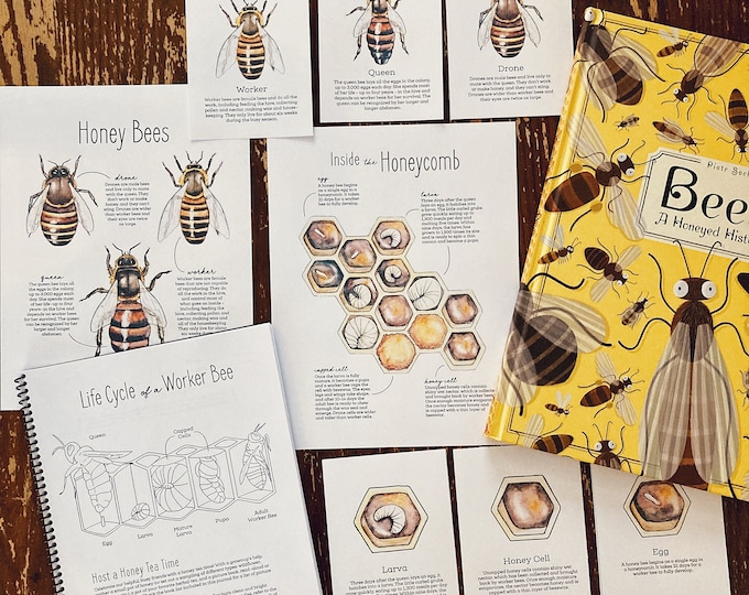 Honey Bees Mini Unit Nature Study Charlotte Mason Homeschool - Etsy