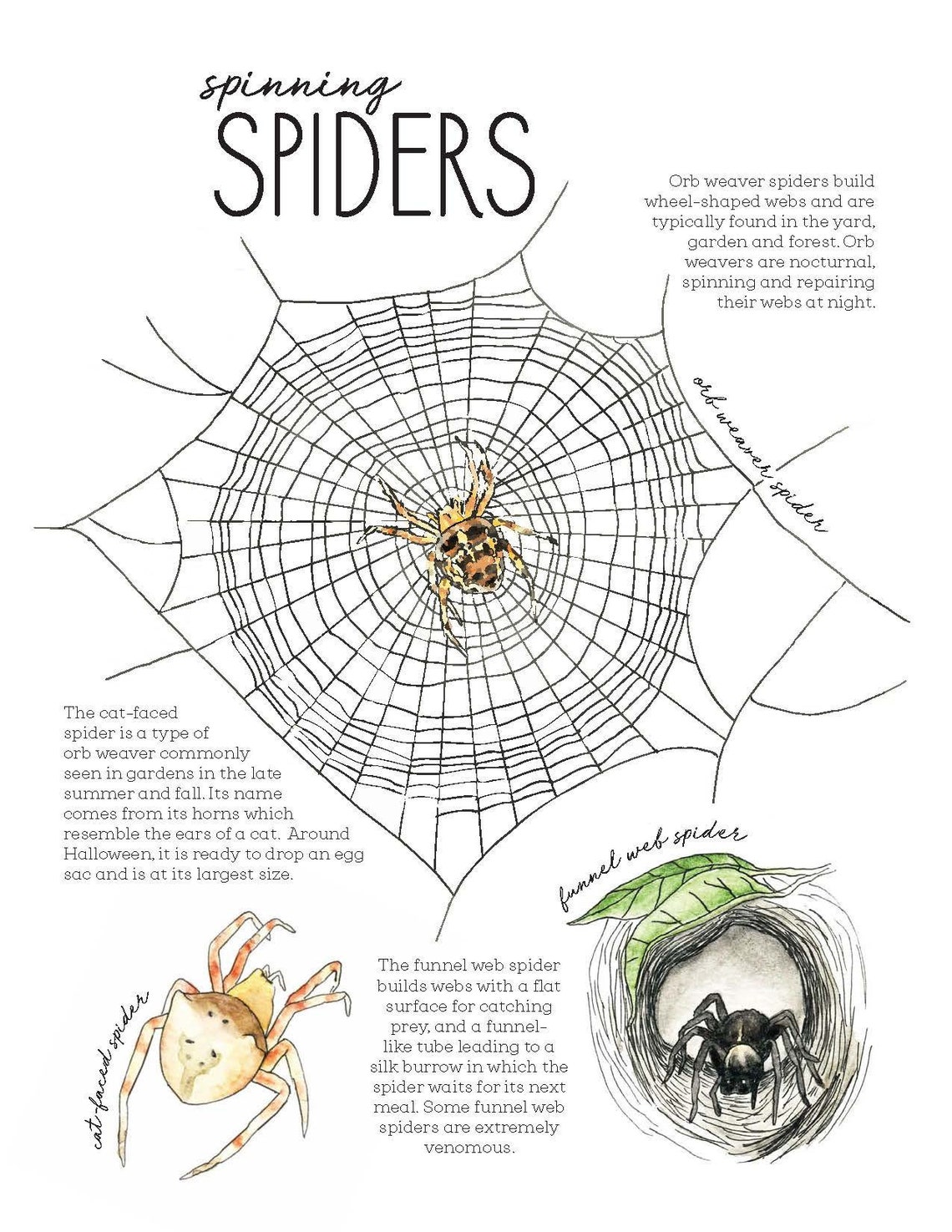 Spinning Spiders Nature Journaling Mini Pack Homeschool | Etsy