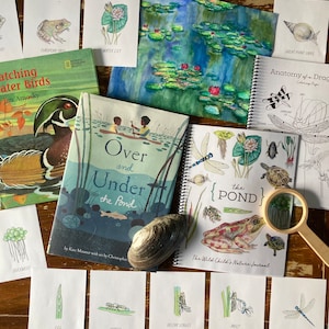 The POND - Homeschool Printable Nature Study Charlotte Mason Frog ...