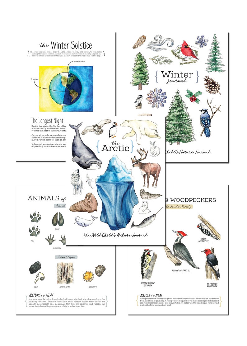 Winter Learning Bundle Unit Study Nature Study Charlotte - Etsy