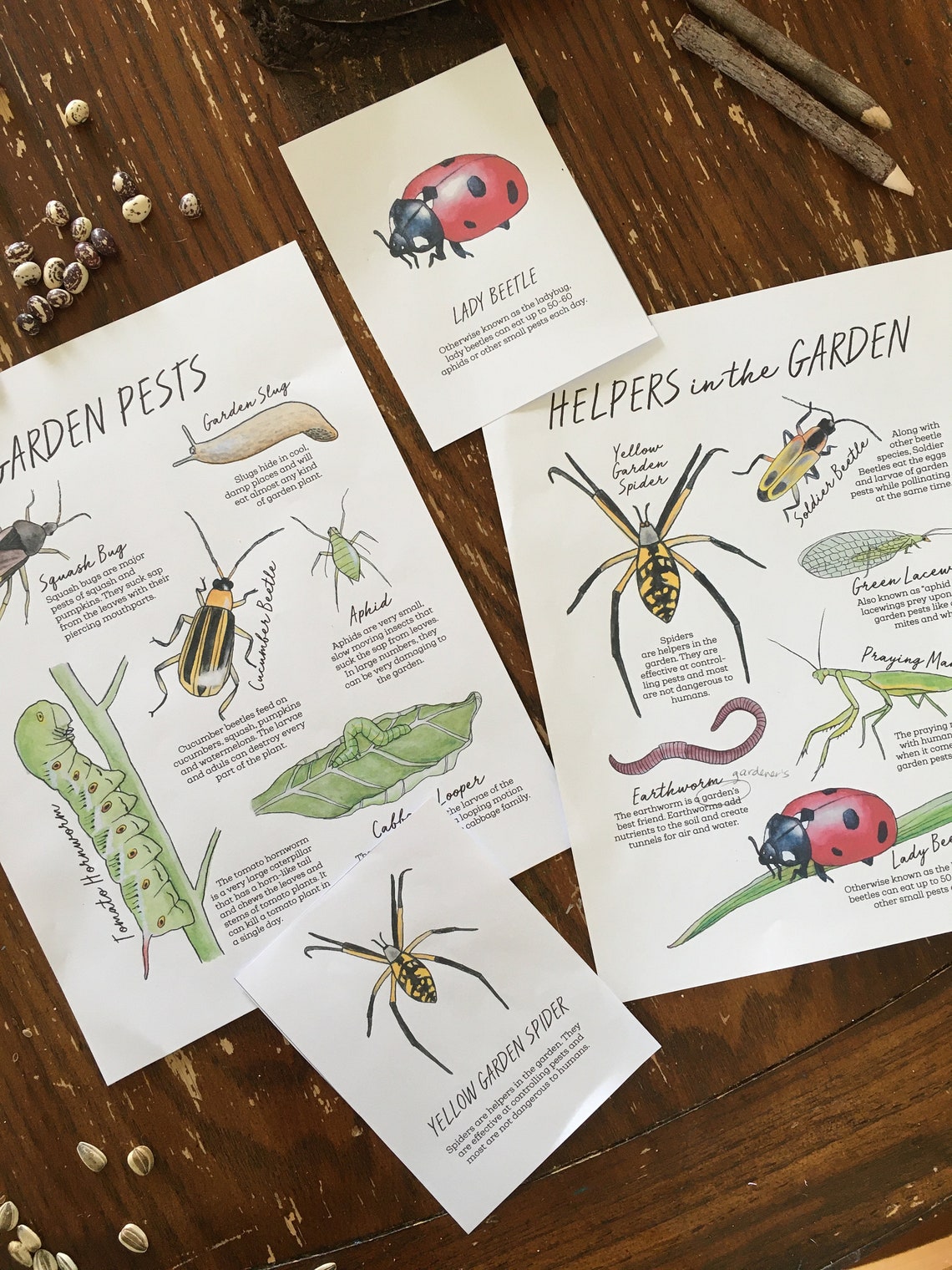 The GARDEN Notebook Homeschool Printable Nature Study - Etsy Canada