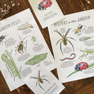 The GARDEN Notebook - Homeschool Printable Nature Study Charlotte Mason ...