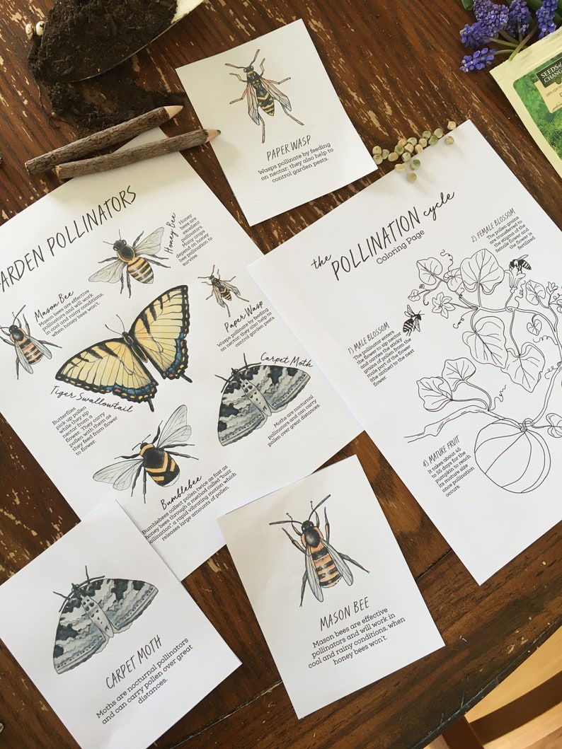 The GARDEN Notebook Homeschool Printable Nature Study | Etsy