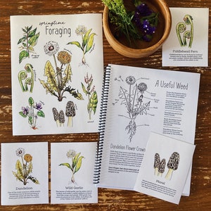 UPDATED SPRING Journal - Homeschool Printable Nature Study Charlotte ...