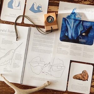 Nature Journal BUNDLE - Etsy