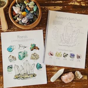 Nature Journal BUNDLE - Etsy