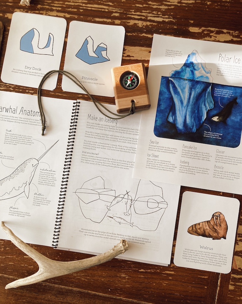 Winter Learning Bundle - Unit Study, Nature Study, Charlotte Mason - Etsy