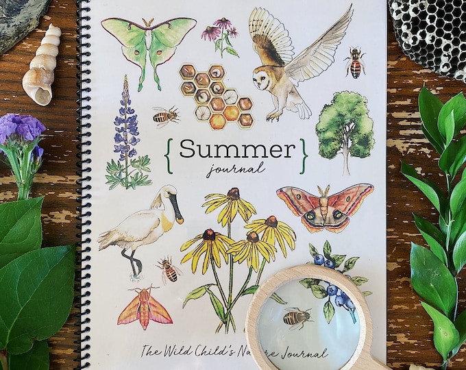 SUMMER Journal Homeschool Printable Charlotte Mason Nature Study - Etsy