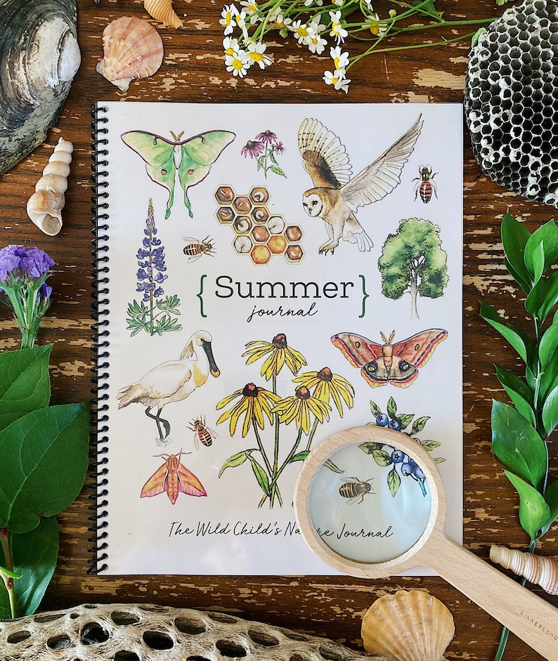 SUMMER Journal Homeschool Printable Charlotte Mason Nature - Etsy