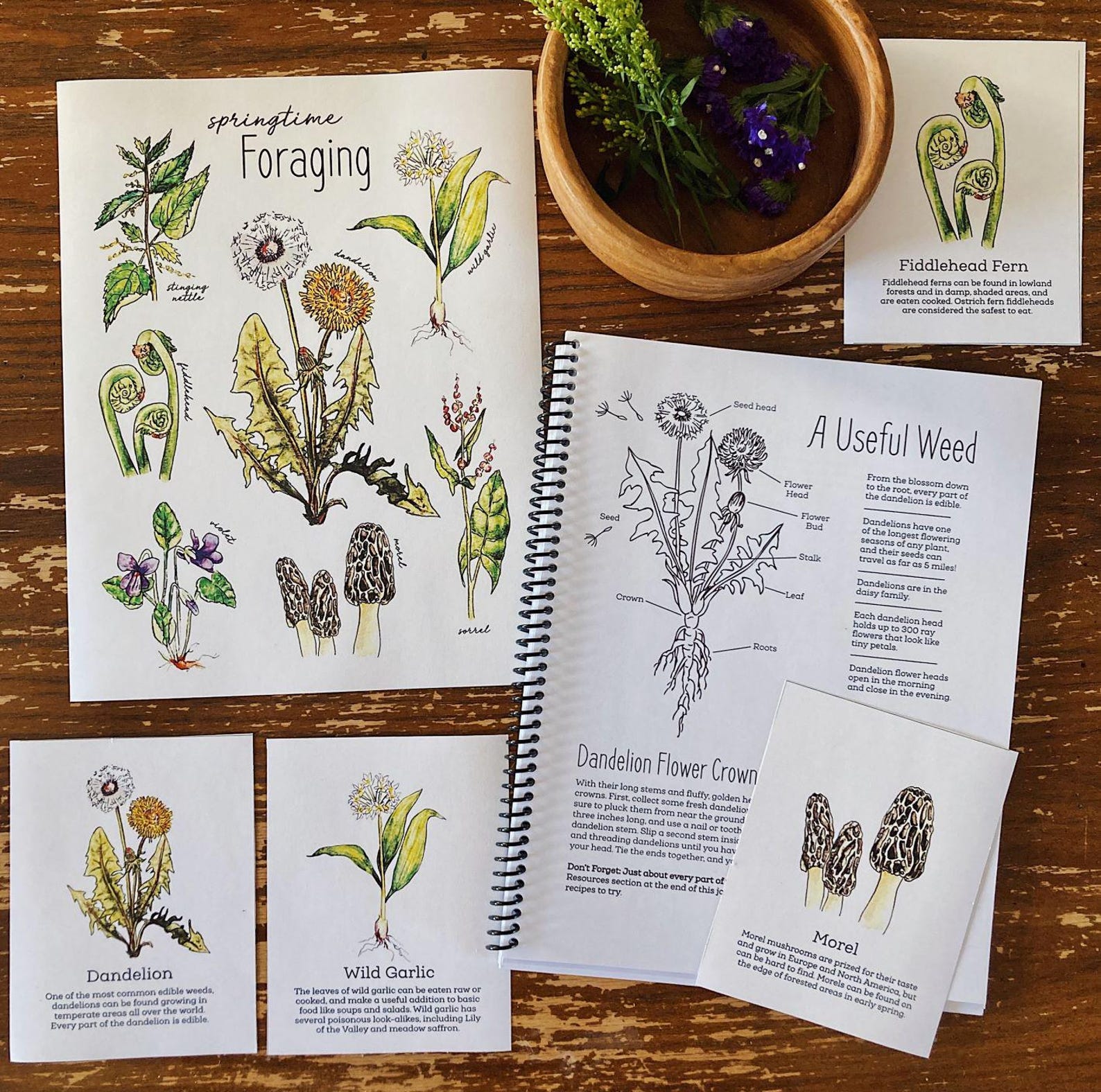 Spring Foraging Mini Unit - Charlotte Mason Nature Study - Etsy