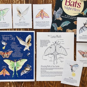 SUMMER Journal - Homeschool Printable Charlotte Mason Nature Study - Etsy