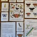 UPDATED SPRING Journal - Homeschool Printable Nature Study Charlotte ...