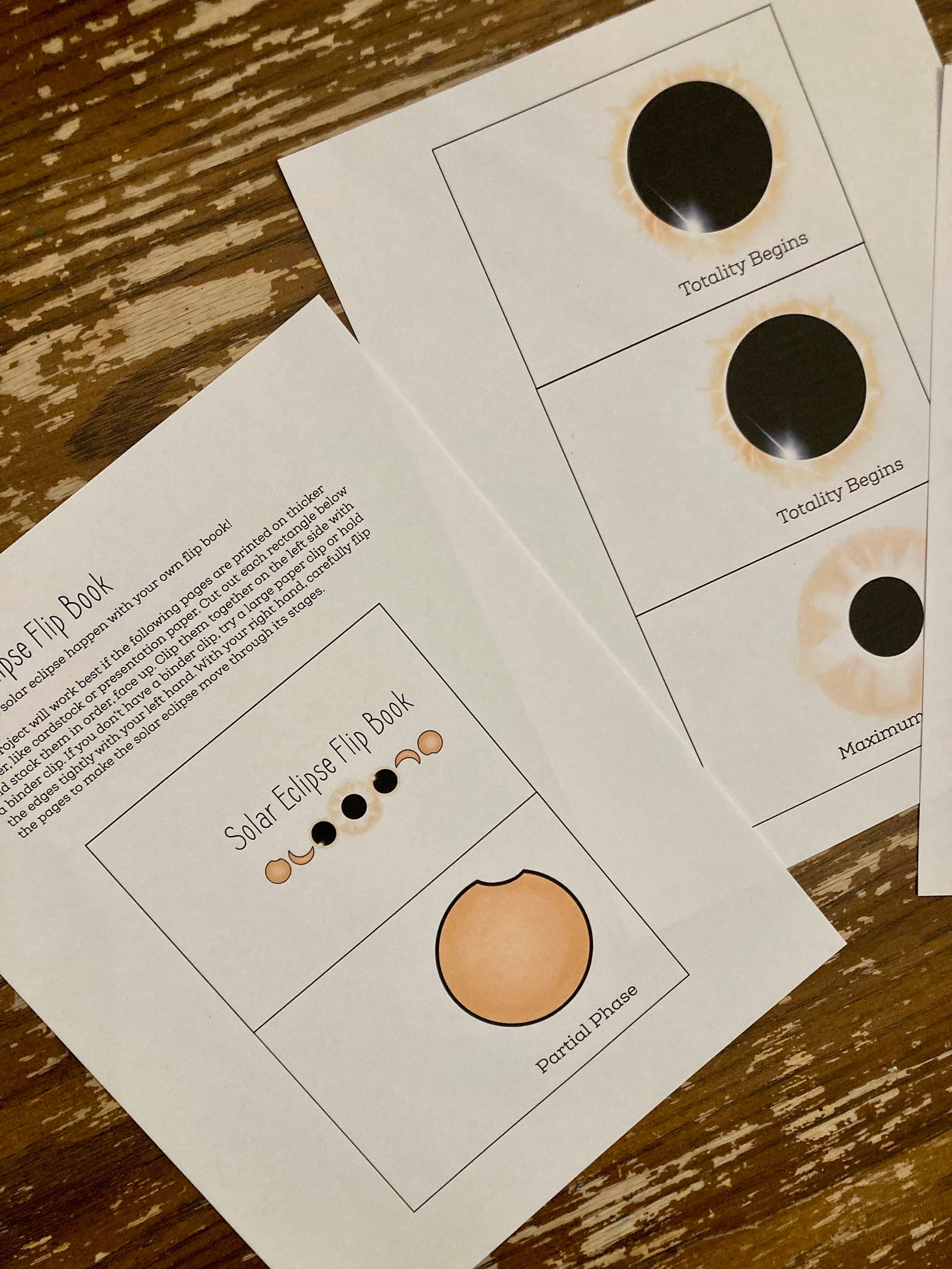 NEW Solar Eclipse Mini Unit Study - Etsy