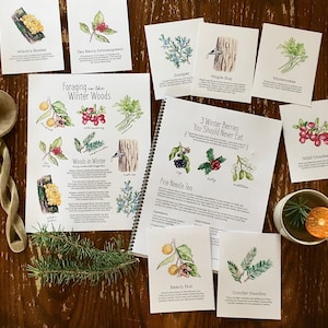 WINTER Journal - Homeschool Printable Charlotte Mason Nature Study - Etsy