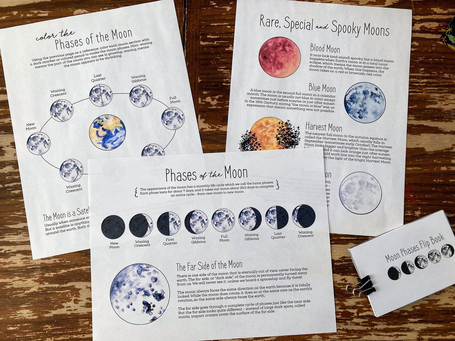 NEW! the Moon Nature Study - Etsy