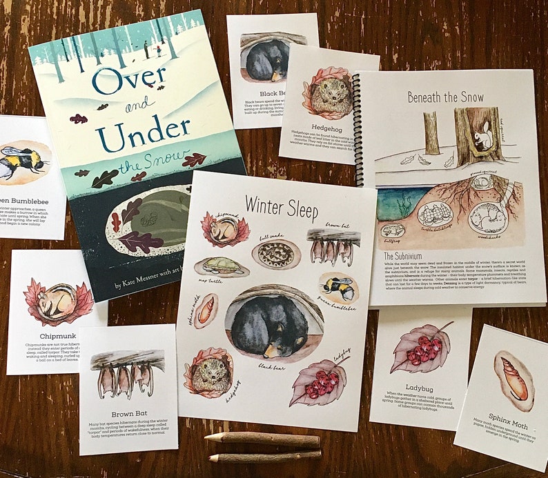 Winter Learning Bundle - Unit Study, Nature Study, Charlotte Mason - Etsy
