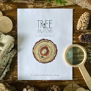 Tree Nature Study BUNDLE - Charlotte Mason, Unit Study - Etsy