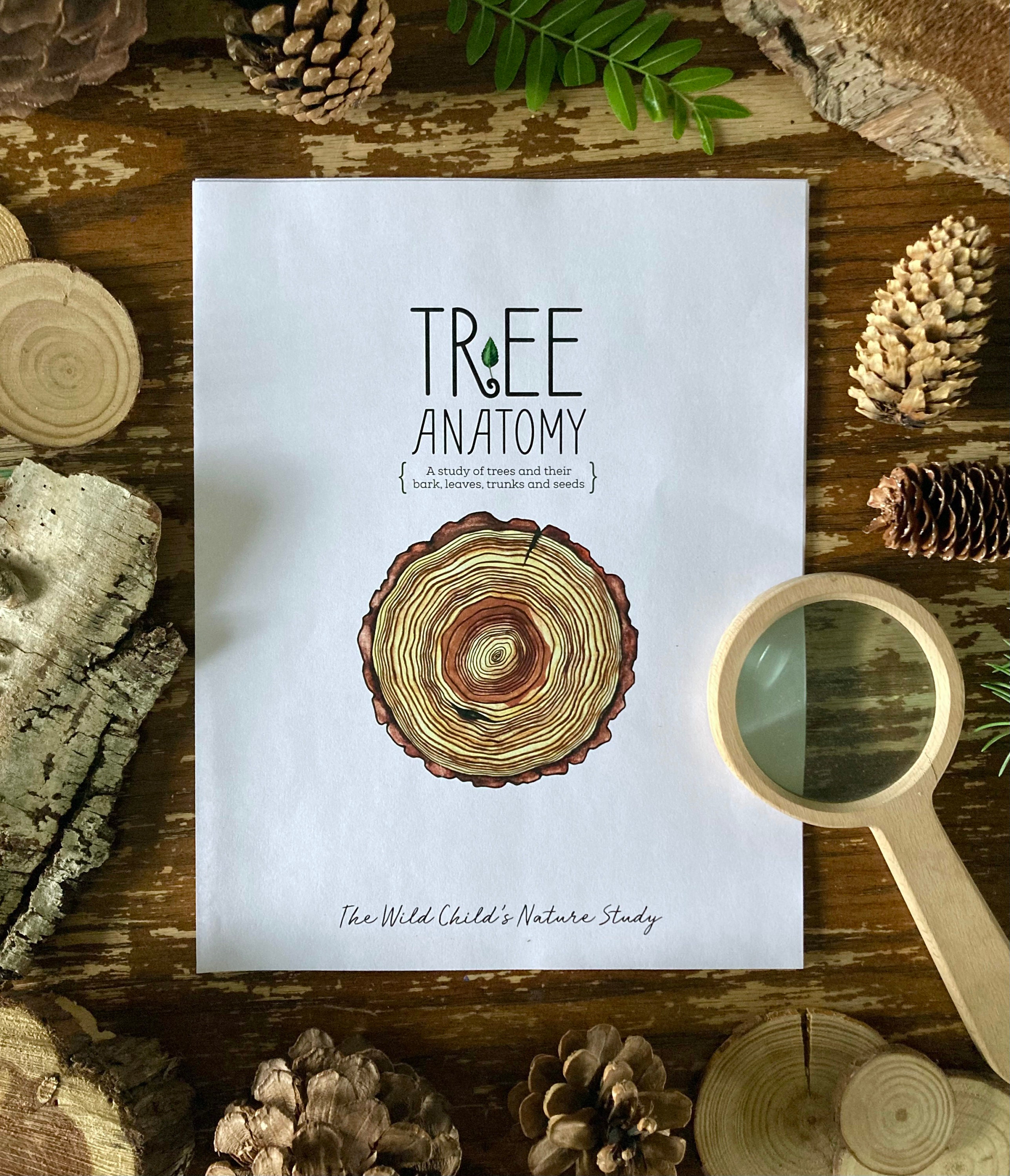 Tree Nature Study BUNDLE - Charlotte Mason, Unit Study - Etsy
