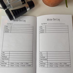 UPDATED: Birds of Winter Mini Nature Study Pack - Charlotte Mason ...