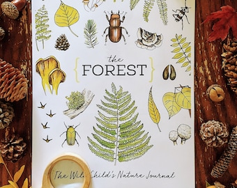 The POND Homeschool Printable Nature Study Charlotte Mason | Etsy