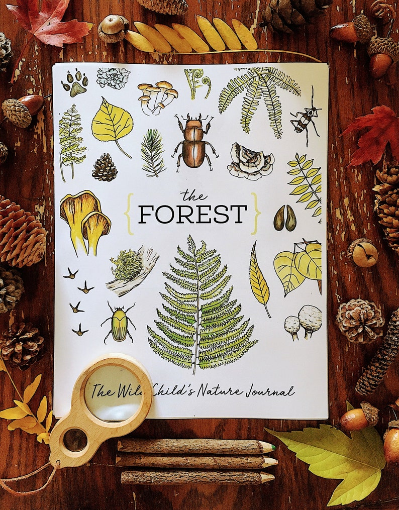 THE FOREST Nature Journal Charlotte Mason Homeschool - Etsy