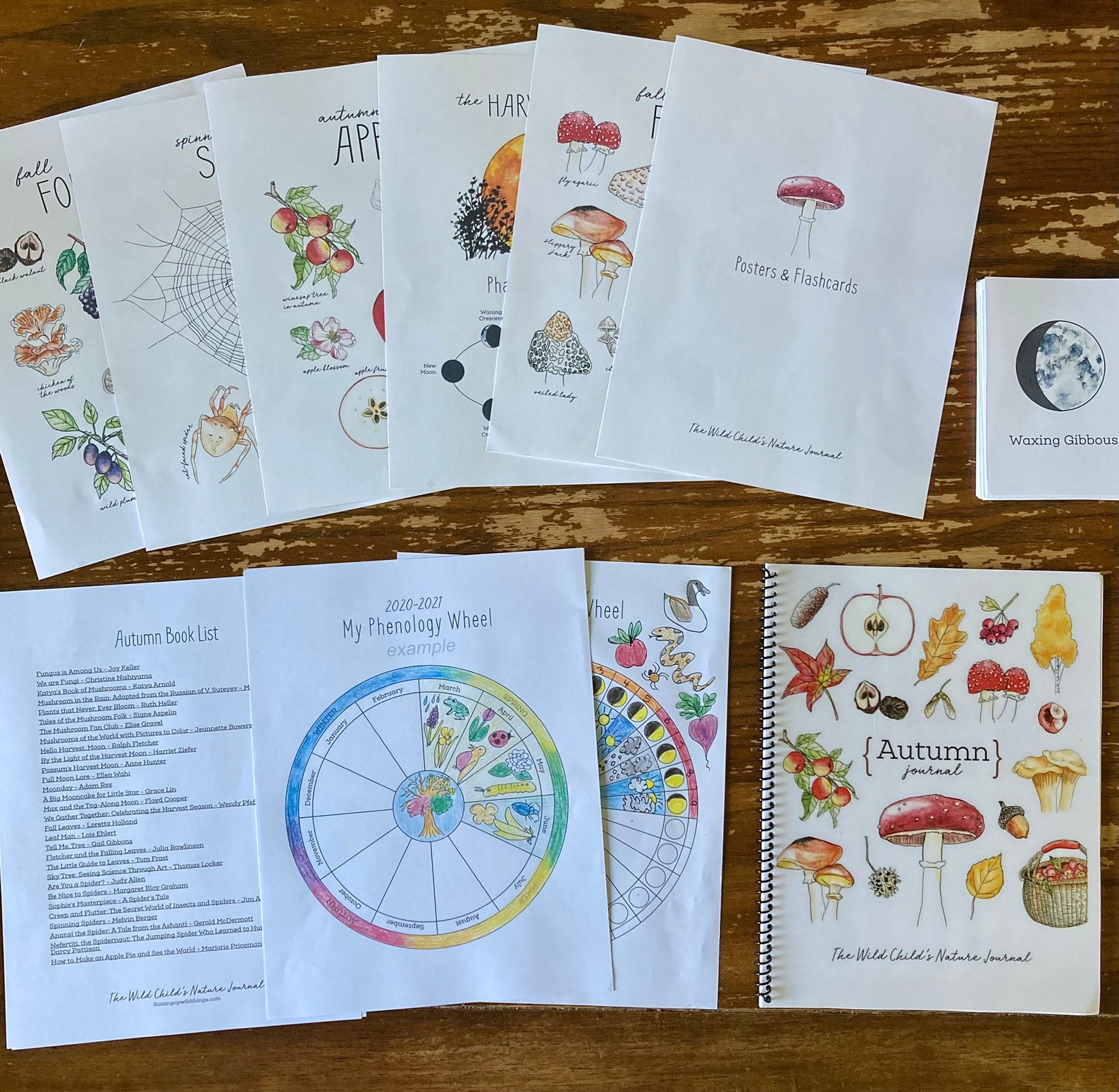 The Seasons A Year of Nature Journaling Charlotte Mason - Etsy