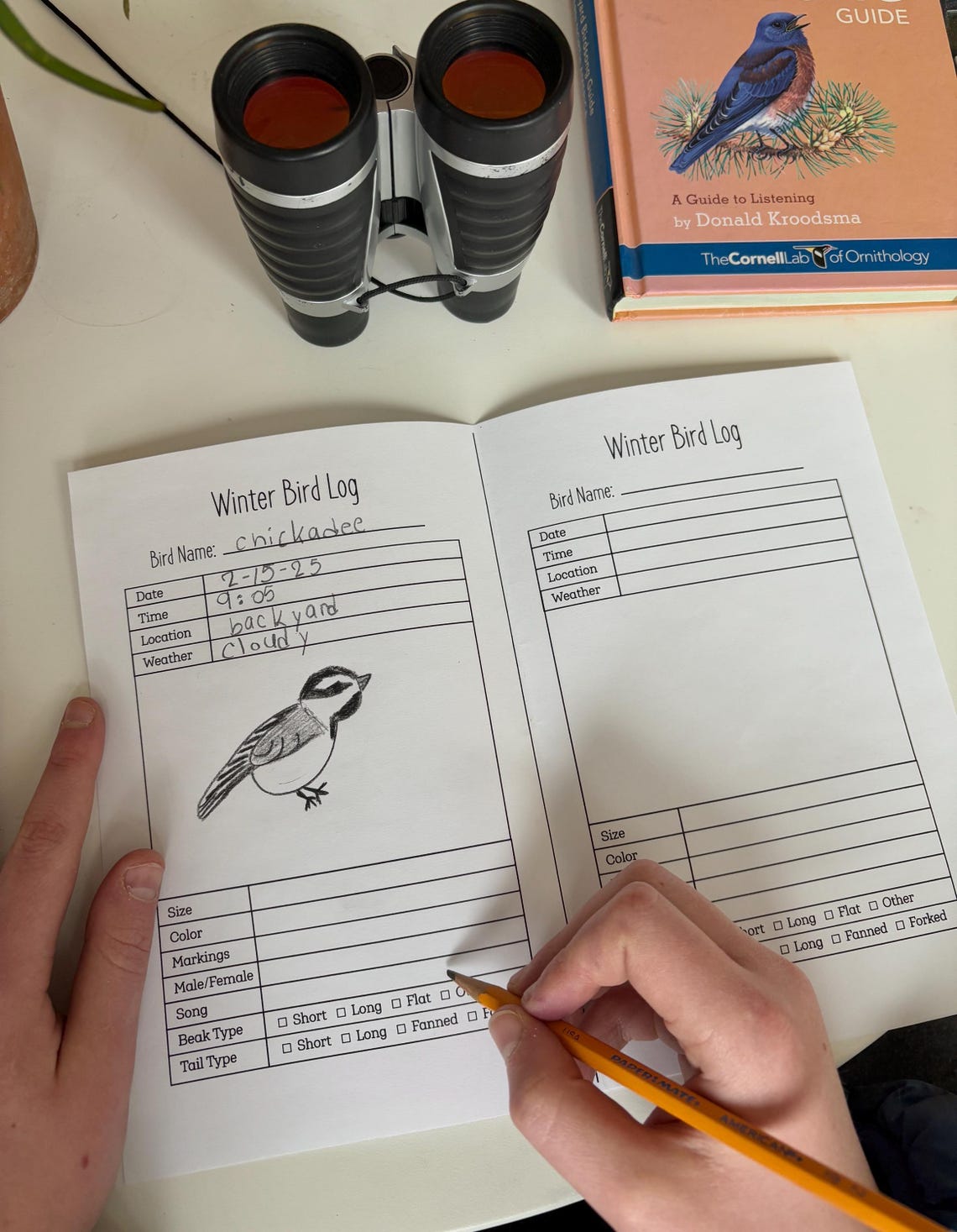 UPDATED: Birds of Winter Mini Nature Study Pack - Charlotte Mason ...